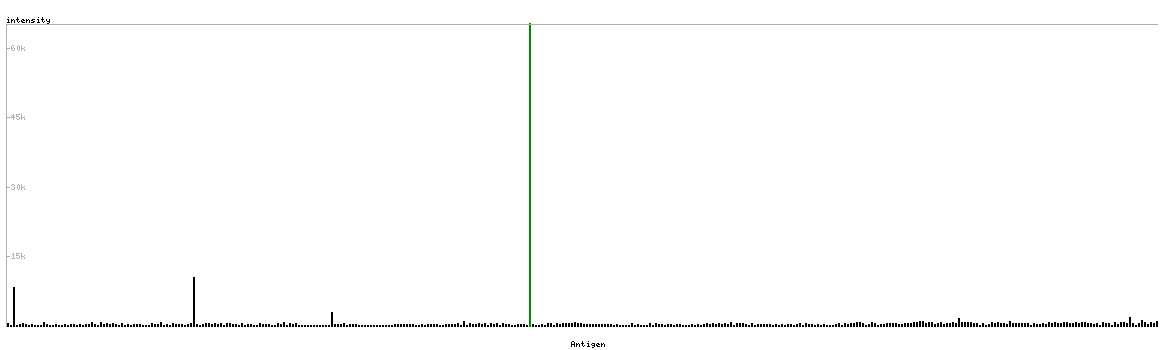 KCNA3 - Antibodies - The Human Protein Atlas