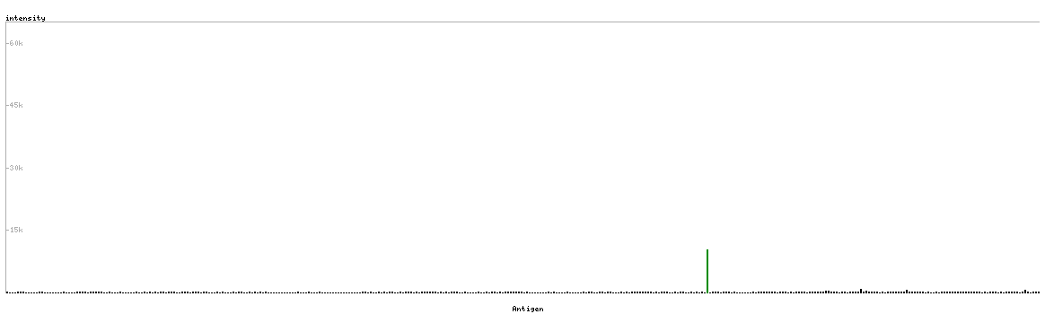 INHBE - Antibodies - The Human Protein Atlas