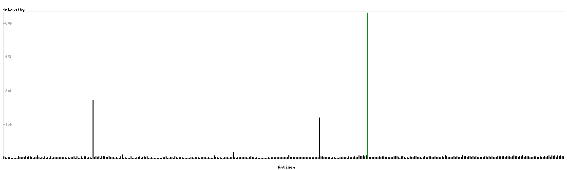 TSPAN8 - Antibodies - The Human Protein Atlas