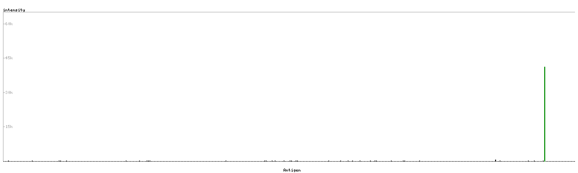 AMD1 - Antibodies - The Human Protein Atlas