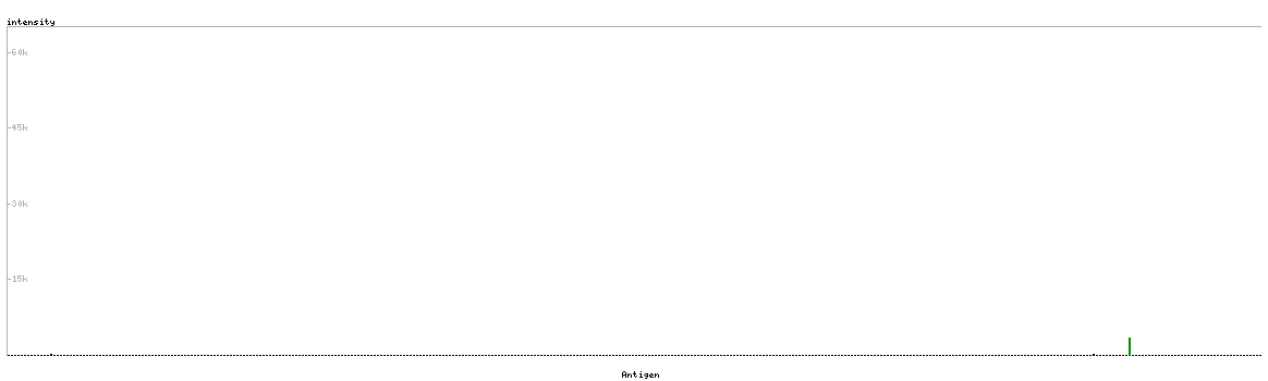 GGPS1 - Antibodies - The Human Protein Atlas