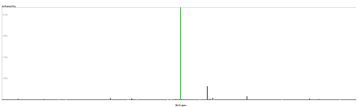 ZPR1 - Antibodies - The Human Protein Atlas