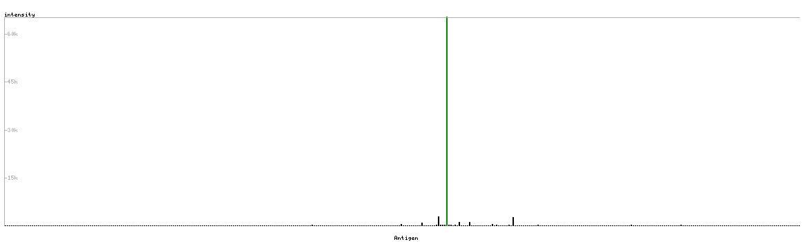 MLYCD - Antibodies - The Human Protein Atlas