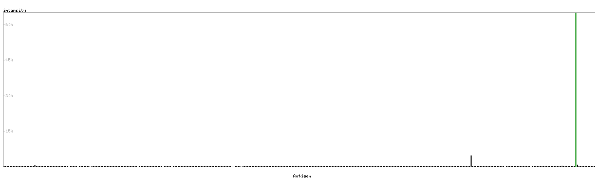 SETD5 - Antibodies - The Human Protein Atlas