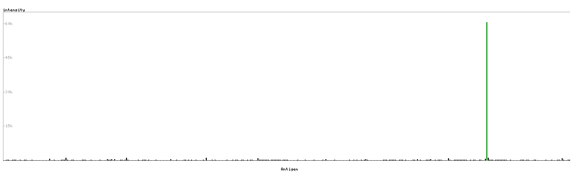 ACY1 - Antibodies - The Human Protein Atlas