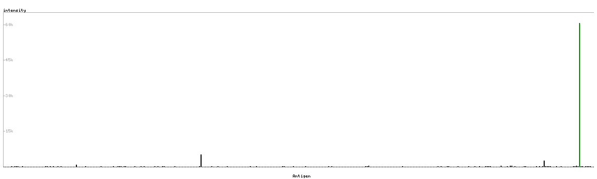 SPATS2 - Antibodies - The Human Protein Atlas
