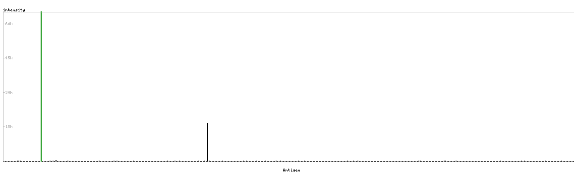 CAVIN2 - Antibodies - The Human Protein Atlas