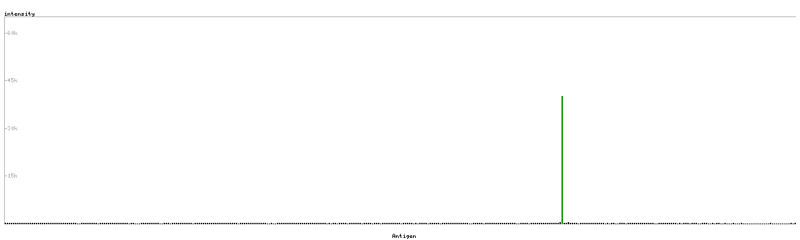 SMOX - Antibodies - The Human Protein Atlas