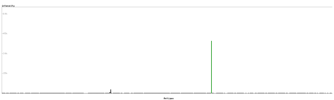 COL17A1 - Antibodies - The Human Protein Atlas