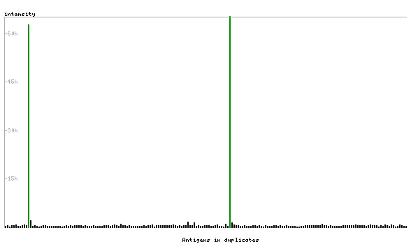 SERPINF2 - Antibodies - The Human Protein Atlas