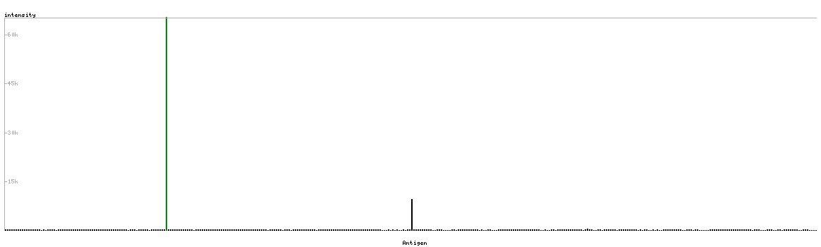 SLC52A2 - Antibodies - The Human Protein Atlas