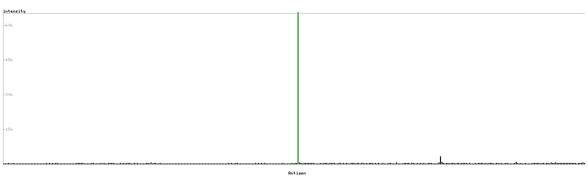 TSPAN2 - Antibodies - The Human Protein Atlas