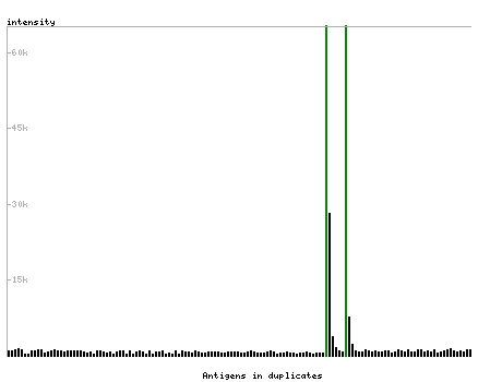 KLK2 - Antibodies - The Human Protein Atlas